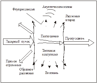Рис.1. Виды взаимодействия лазерного излучения с биотканью.